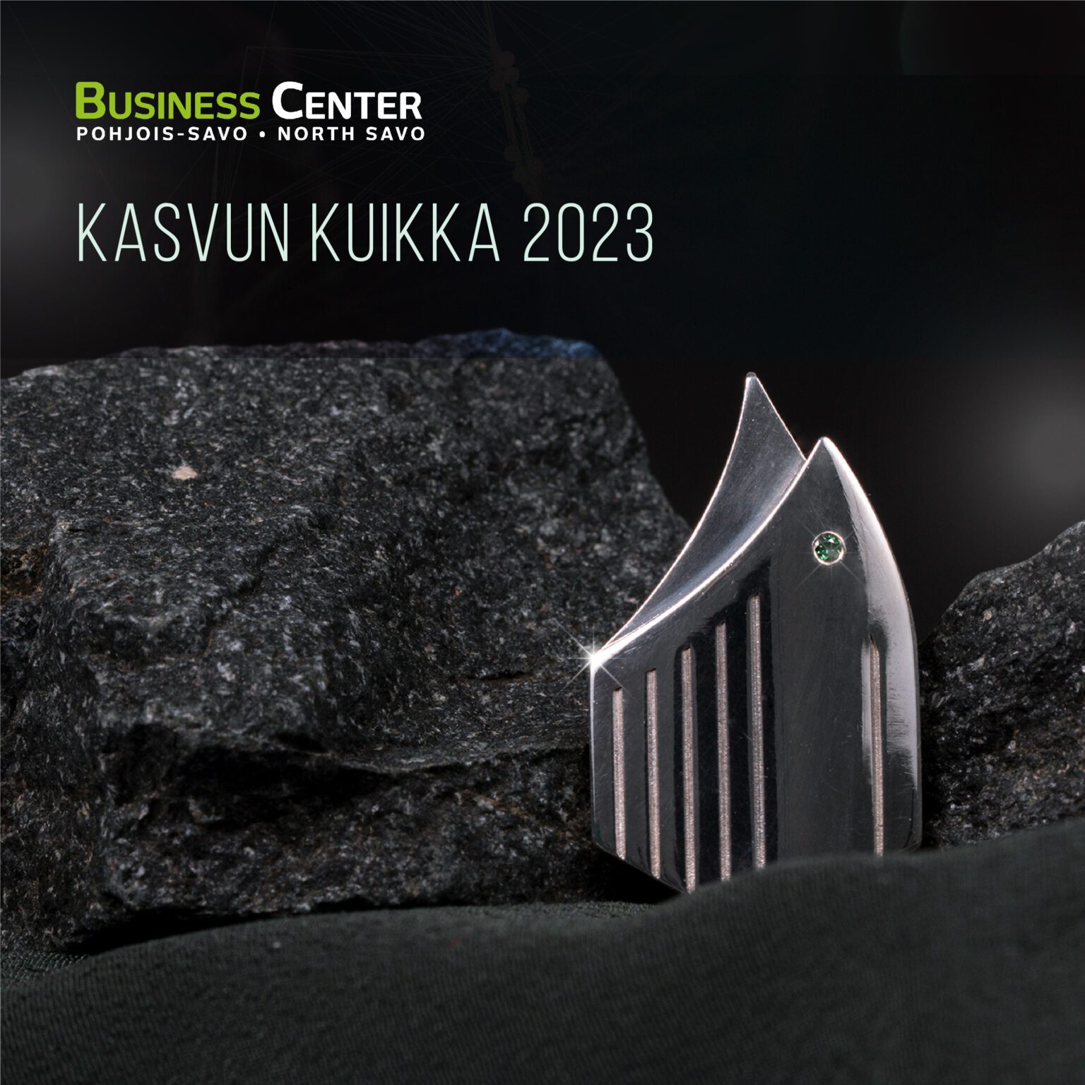 Pohjois-Savon yrittäjyys- ja innovaatiovaikuttajia palkittiin Kasvun ...